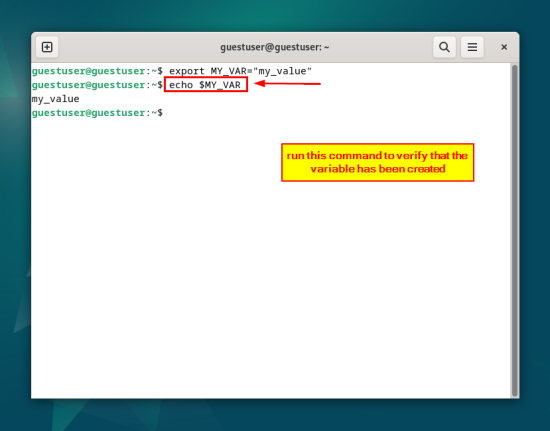 How to Print Env Variable Linux [5 Best Methods]