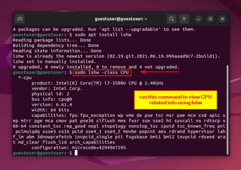 8 Effective Ways to Get CPU Info Linux