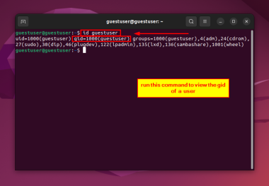 How to Find UID of a User in Linux [3 Best Methods]