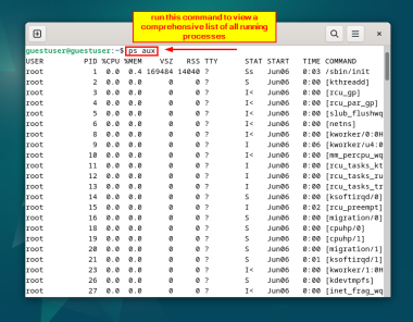 How to Kill a Process on Linux Command Line [5 Best Methods]