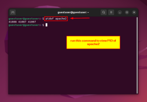 How to Restart Apache Ubuntu [5 Best Methods]
