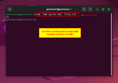 How to Count Lines in File Linux [8 Simple Methods]