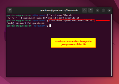 How to Make a File Executable in Linux [3 Best Ways]