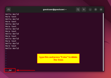How to Delete Lines in a File Using Vim [8 Easy Ways]