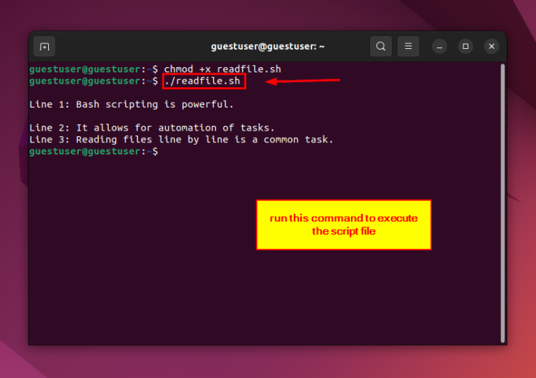 How to Read a File Line by Line in Bash [5 Easy Methods]