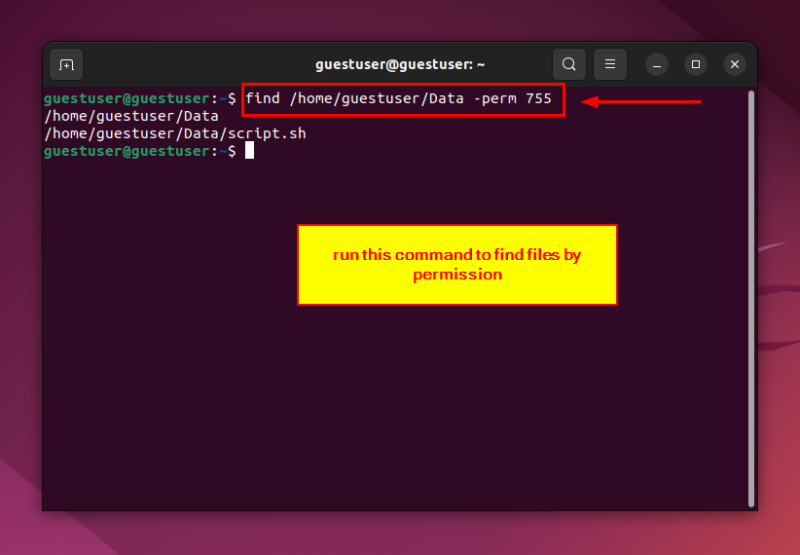 How to Use Find Command in Linux [12 Best Uses]