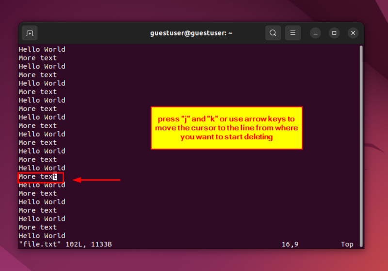 How to Delete Lines in a File Using Vim [8 Easy Ways]