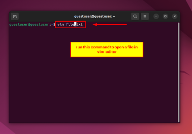 How to Delete Lines in a File Using Vim [8 Easy Ways]