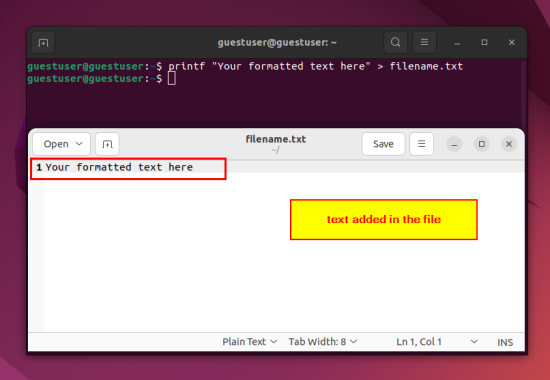 How to Create a Text File in Linux Terminal [5 Best Ways]