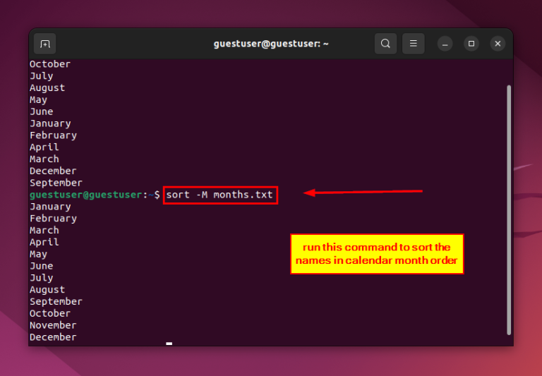 How to Use the Sort Command in Linux [10 Easy Ways]
