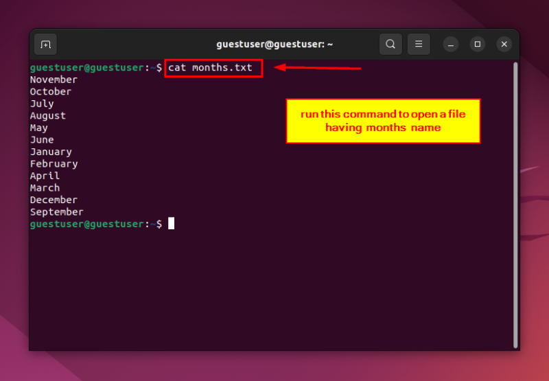 How to Use the Sort Command in Linux [10 Easy Ways]